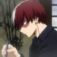 Chat with Todoroki Shoto on Spicychat